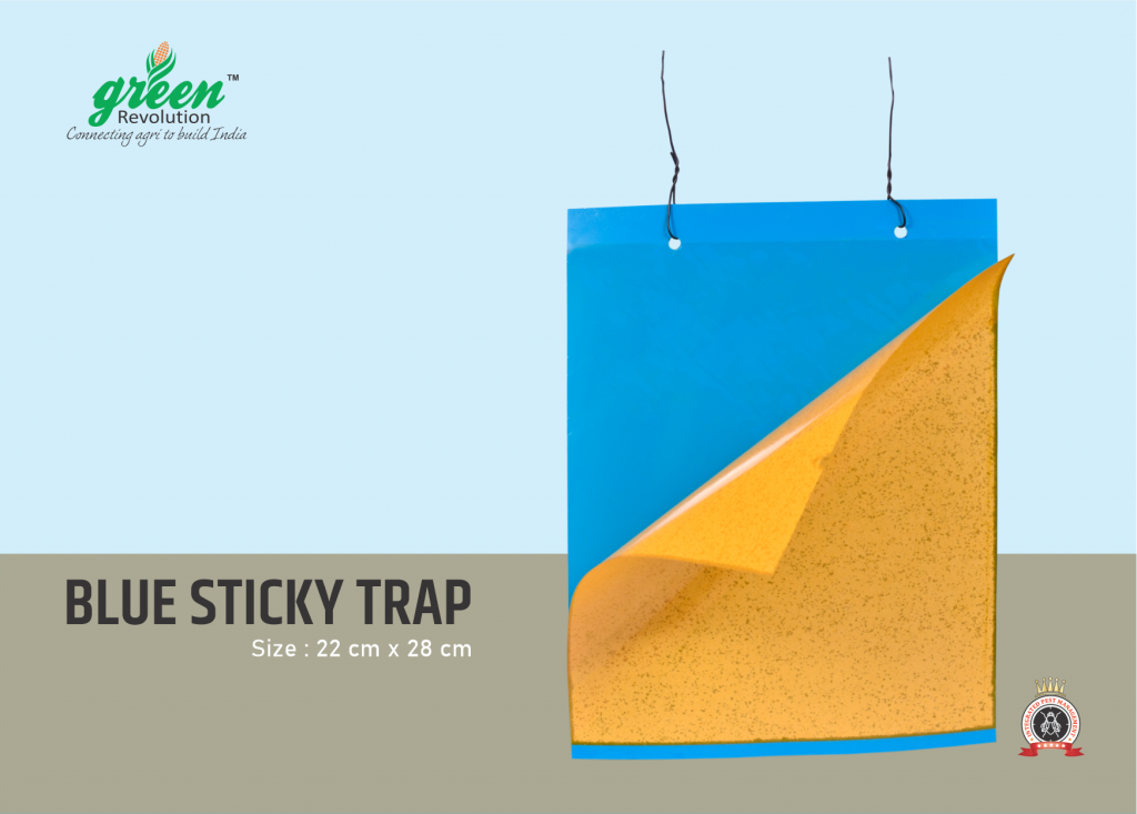 Blue Sticky Trap – 22 Cm X 28 Cm Pack of 10 – Agripari