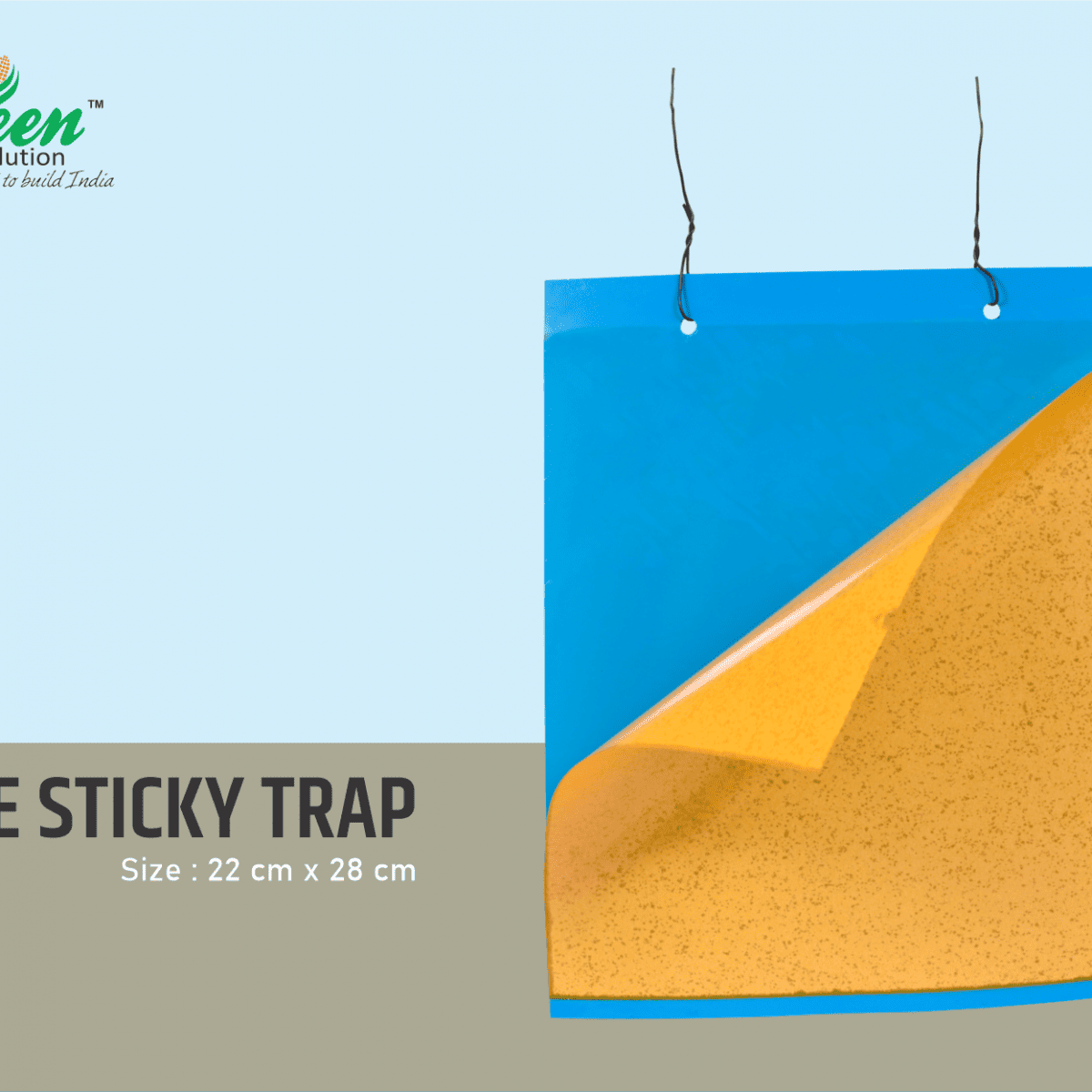Blue Sticky Trap – 22 Cm X 28 Cm Pack of 10 – Agripari