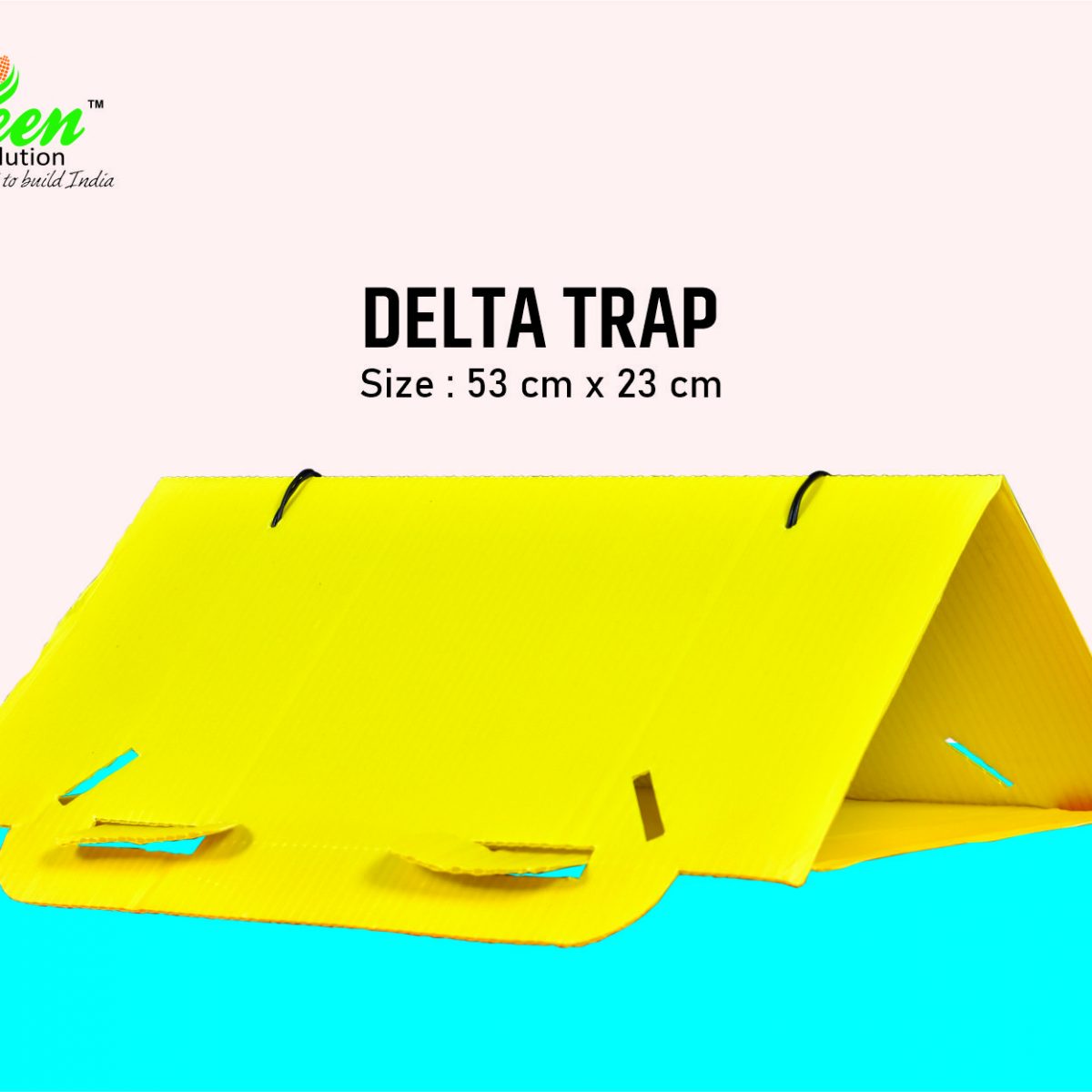 Delta Trap(pack of 10 ) – Agripari