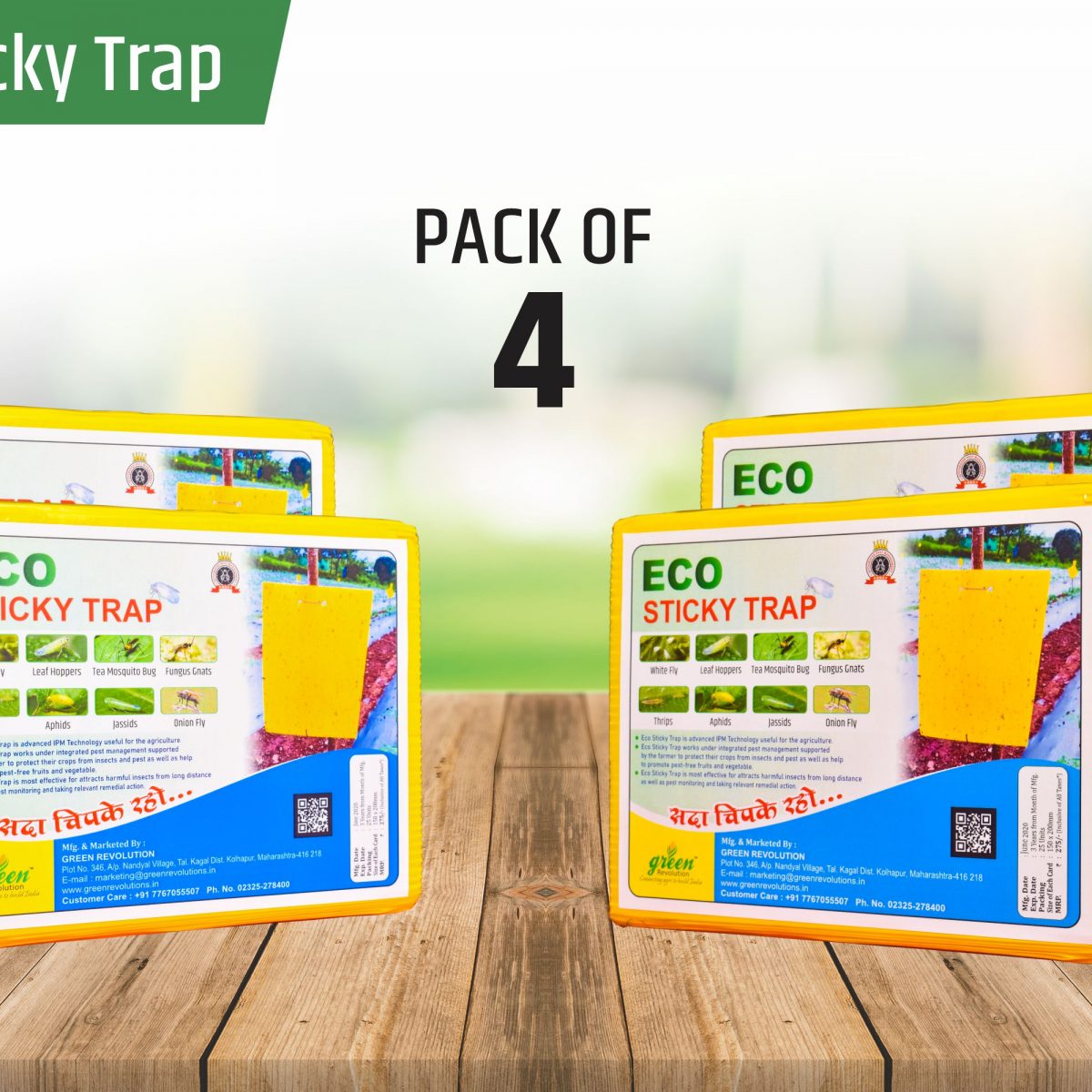 ECO Yellow Sticky Trap Pack of 2 (50 Pieces) (6*8 INCH) – Agripari