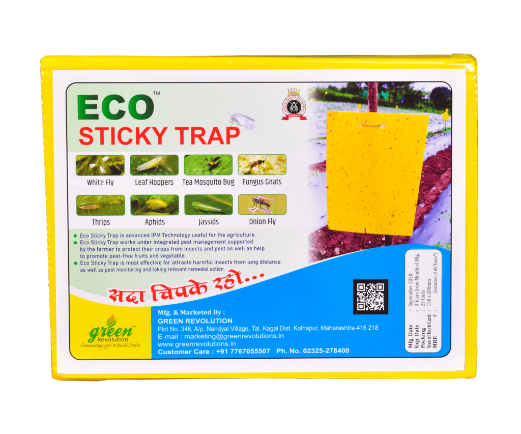 ECO Yellow Sticky Trap Pack of 1 (25 Pieces) (6*8 INCH) – Agripari