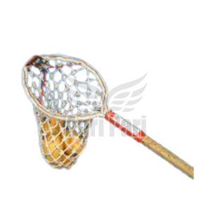 Agripari – Agricultural Website