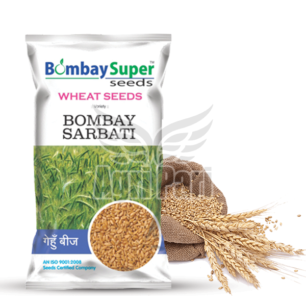 WHEAT SEEDS – agripari