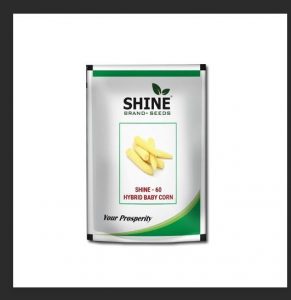 SHINE SEEDS HYBRID BABY CORN SHINE 60 500GM – Agripari