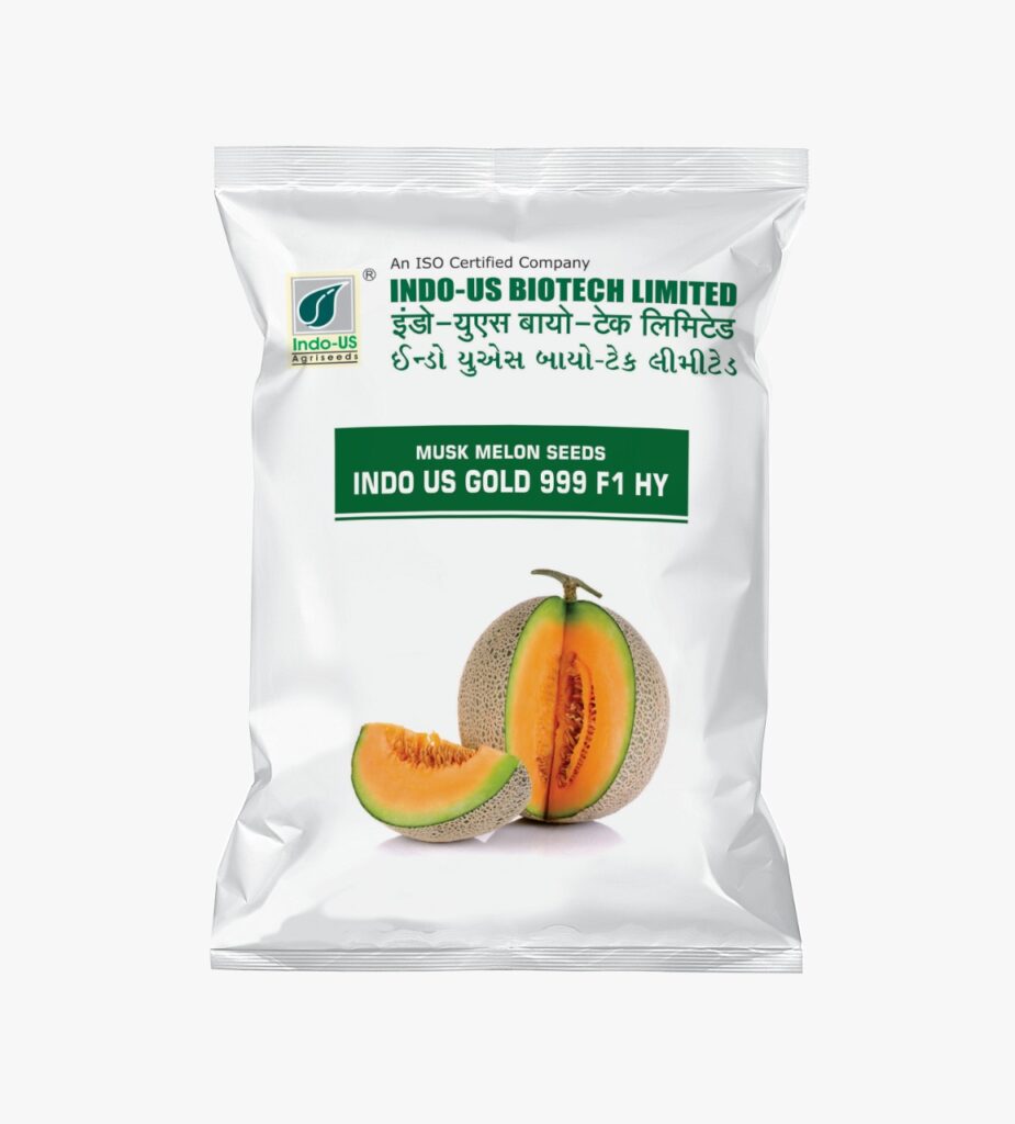 INDO US MUSK MELON GOLD 999 F1 HY – Agripari